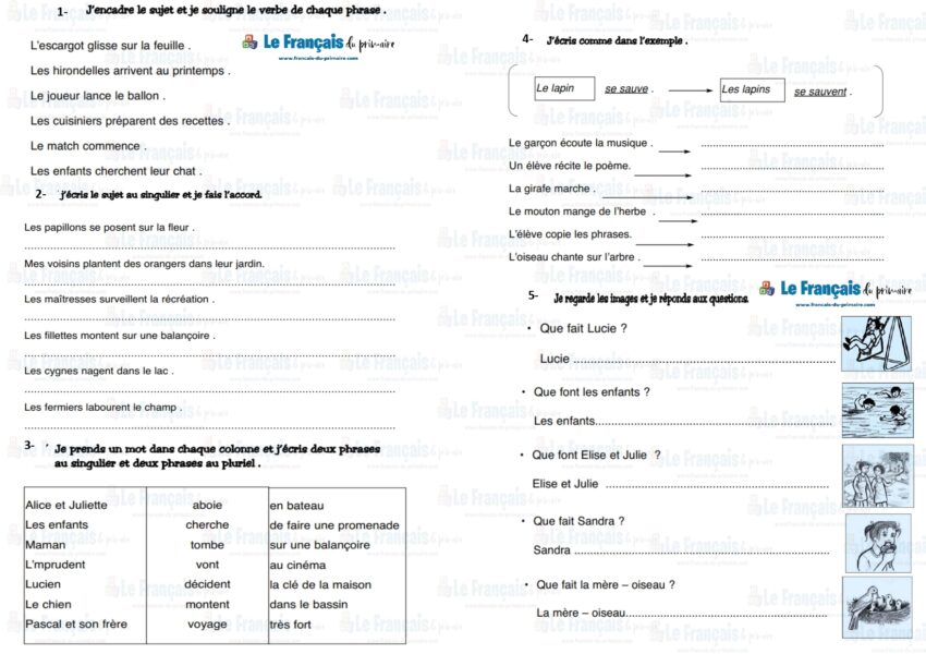 4ème année exercices Modules 5 et 6 | Le français du primaire