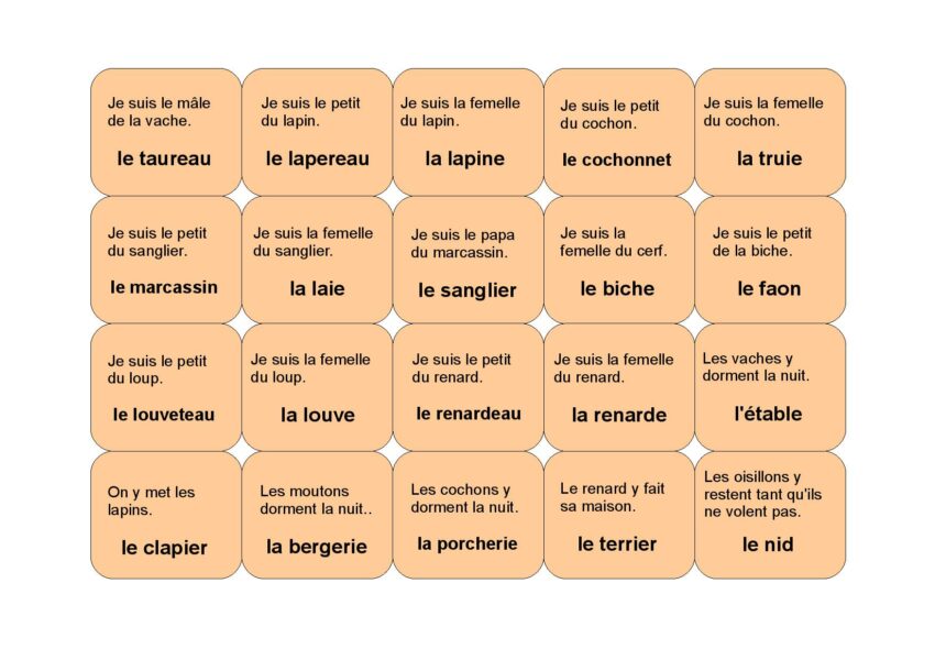 Jeux de devinettes | Le français du primaire