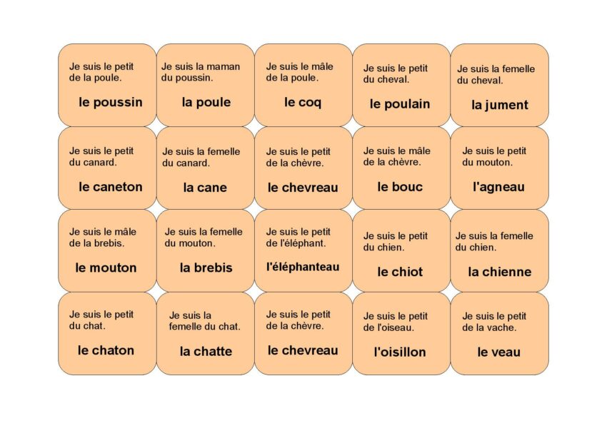 Jeux de devinettes | Le français du primaire
