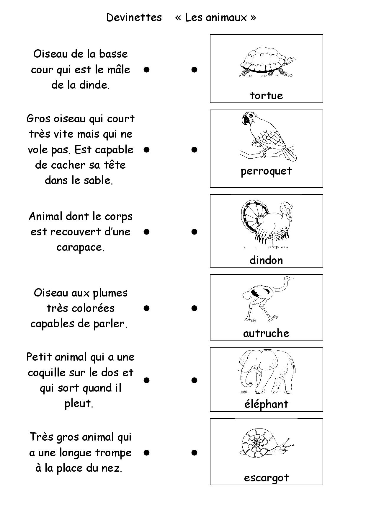 Jeux de devinettes | Le français du primaire
