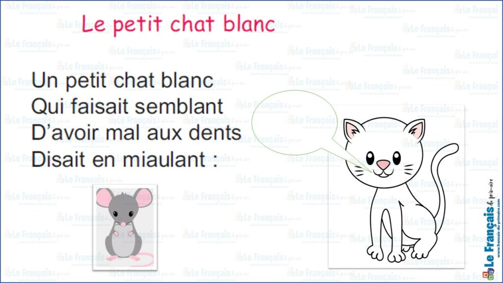 Poème : Le petit chat blanc ( 4ème année ) | Le français du primaire