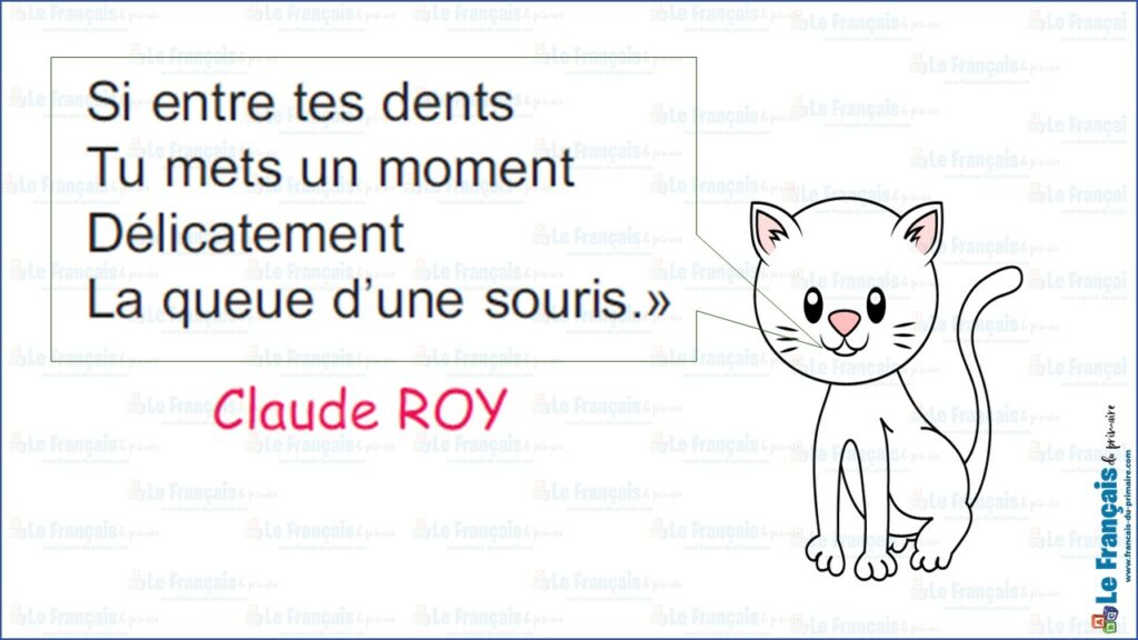 Poème : Le petit chat blanc ( 4ème année ) | Le français du primaire