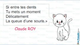 Poème : Le petit chat blanc ( 4ème année ) | Le français du primaire