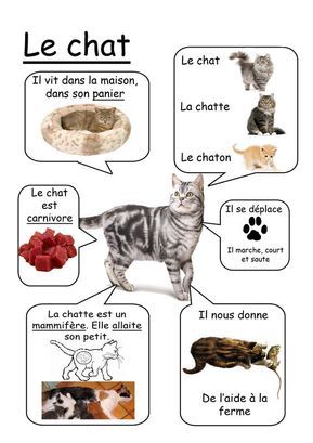 Les animaux | Le français du primaire