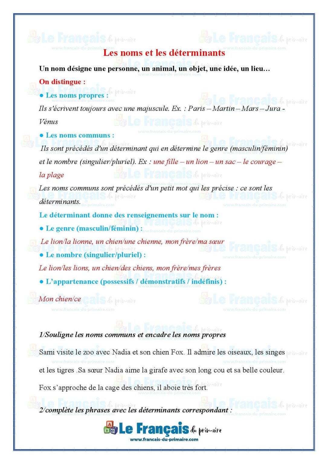 Le nom et le déterminant | Le français du primaire