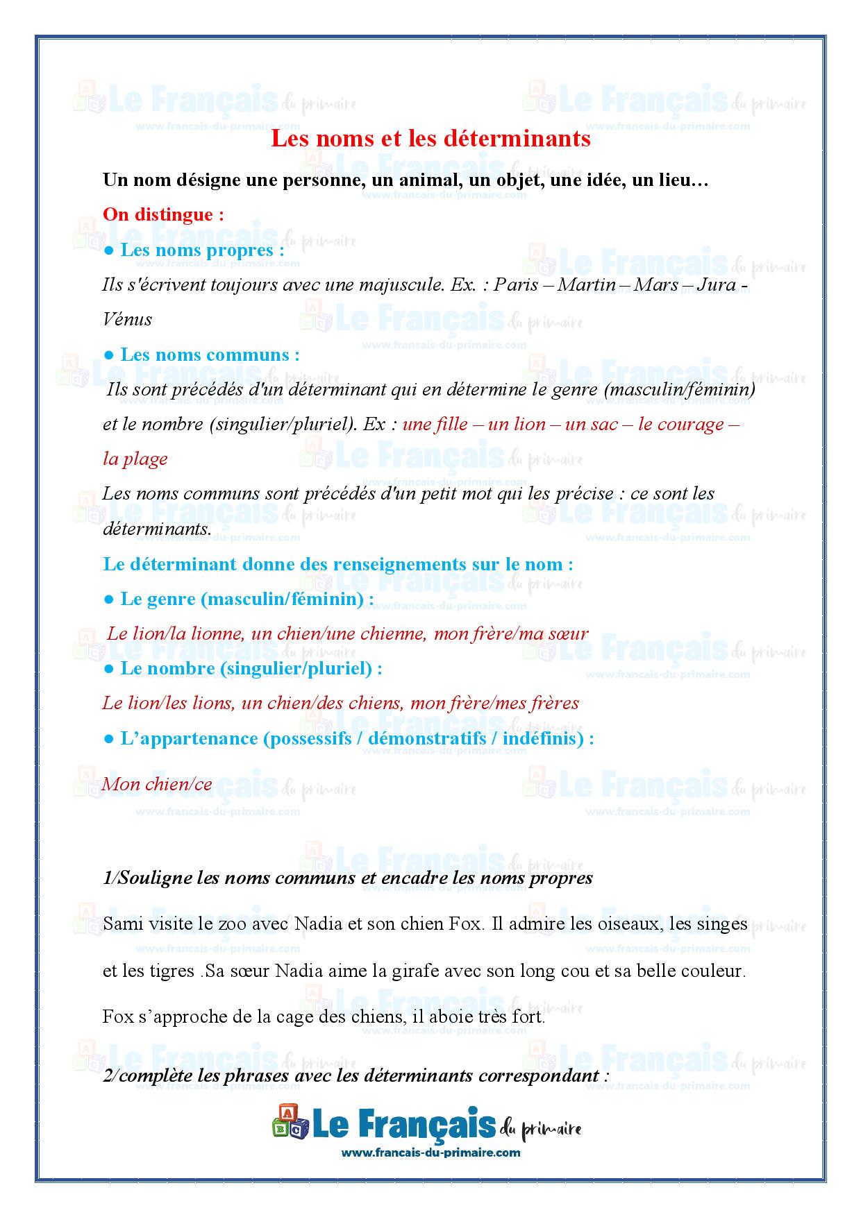 Le nom et le déterminant | Le français du primaire