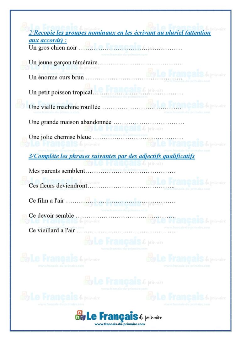 Accorder l'adjectif qualificatif | Le français du primaire