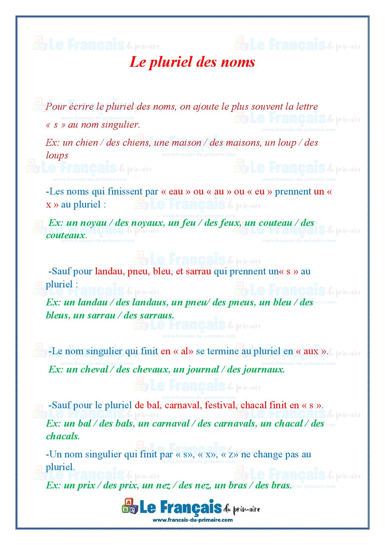 Le pluriel des noms cours /exercices | Le français du primaire