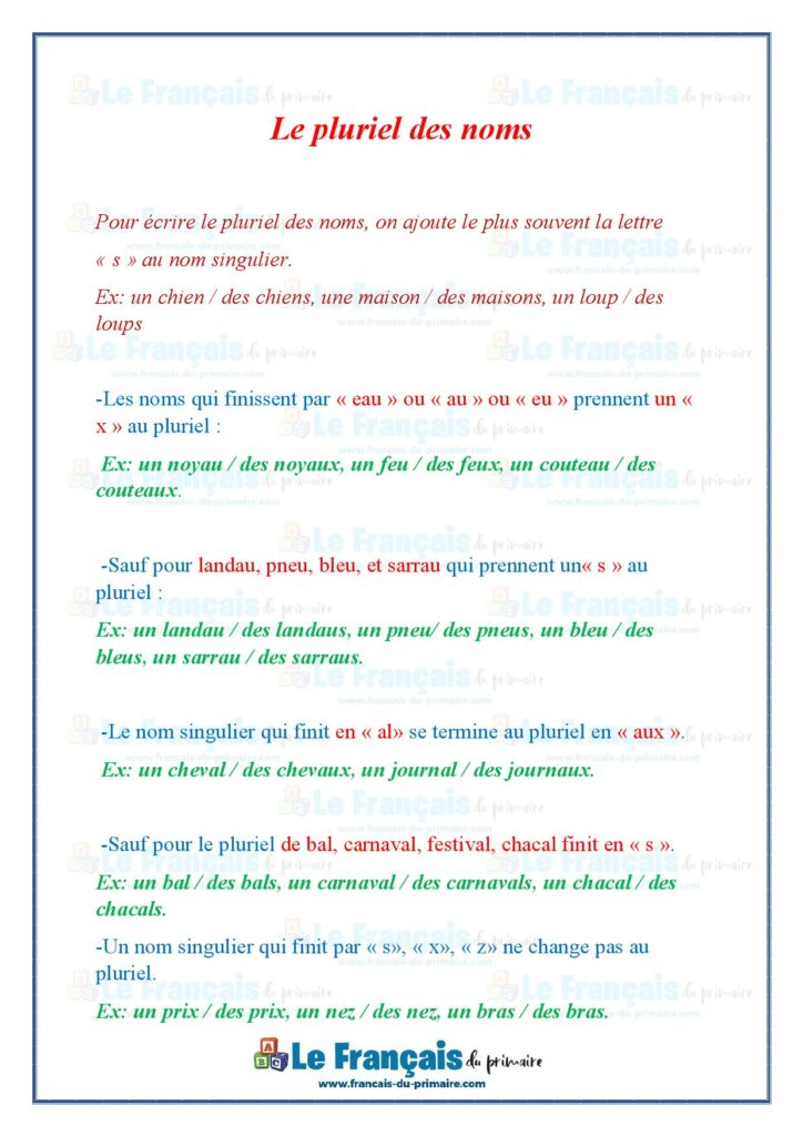 Le pluriel des noms cours /exercices | Le français du primaire