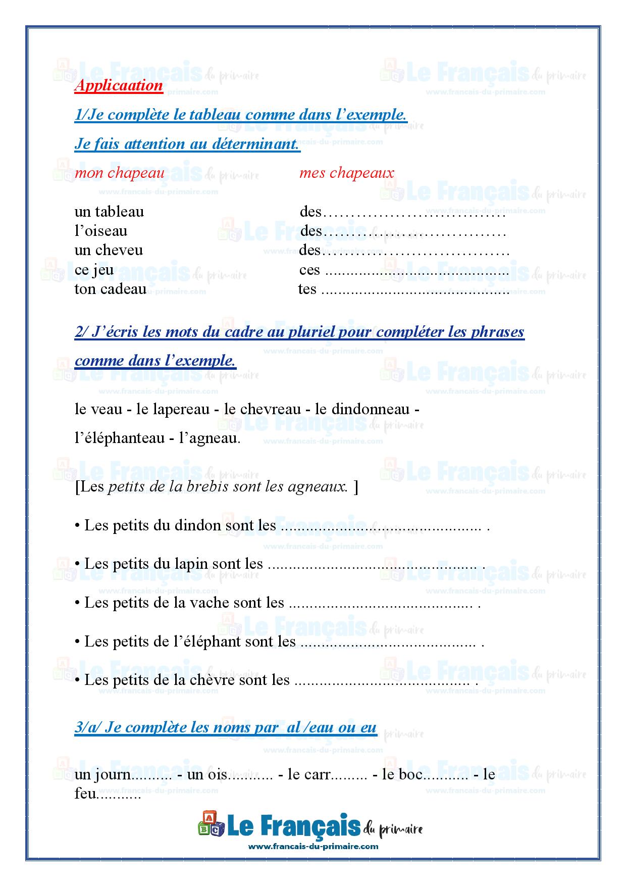 Le pluriel des noms cours /exercices | Le français du primaire