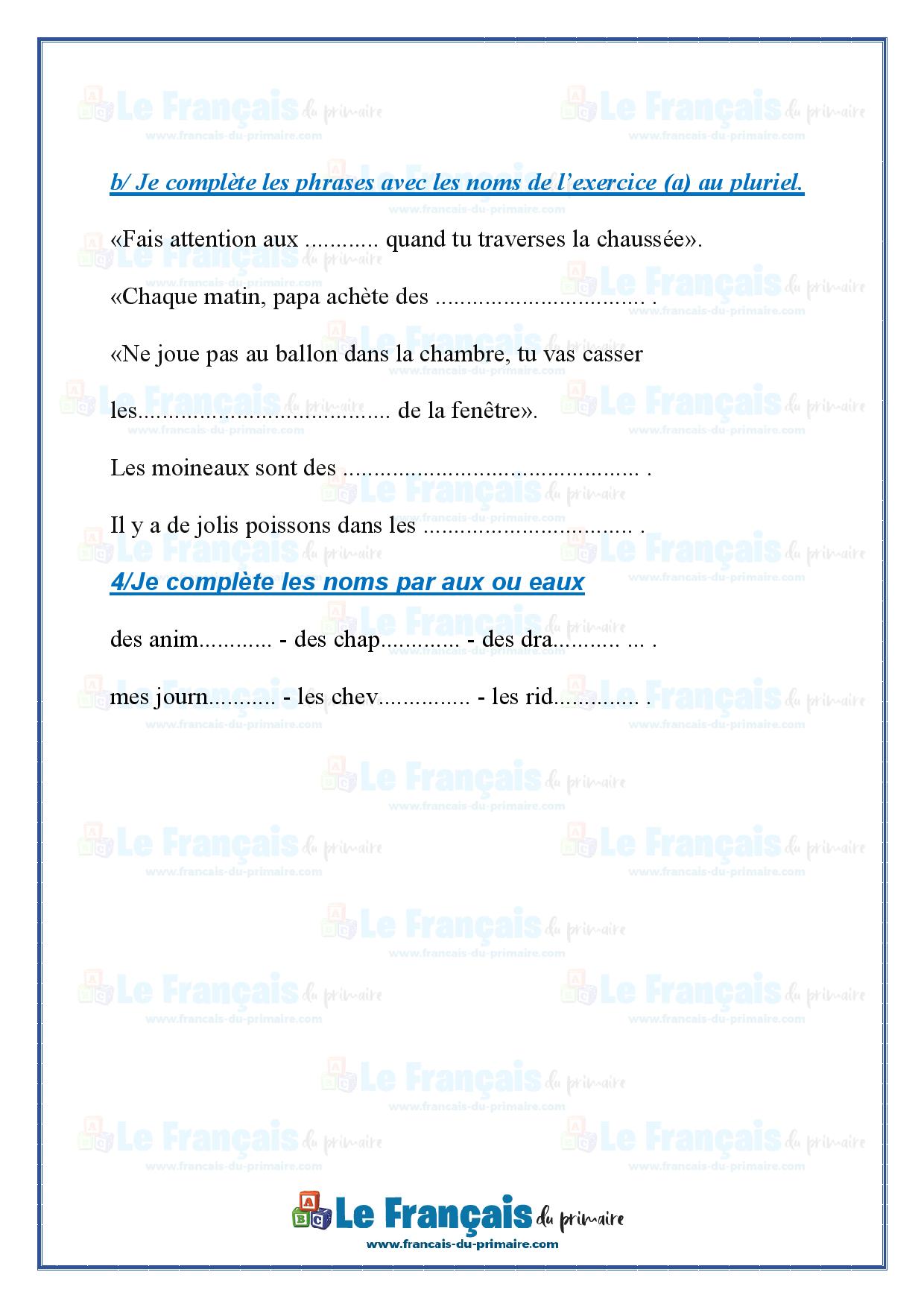 Le pluriel des noms cours /exercices | Le français du primaire