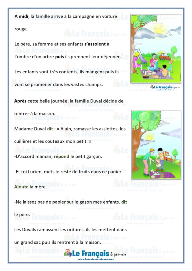 Expression orale 4ème année : Le pique-nique Module 6 | Le français du ...