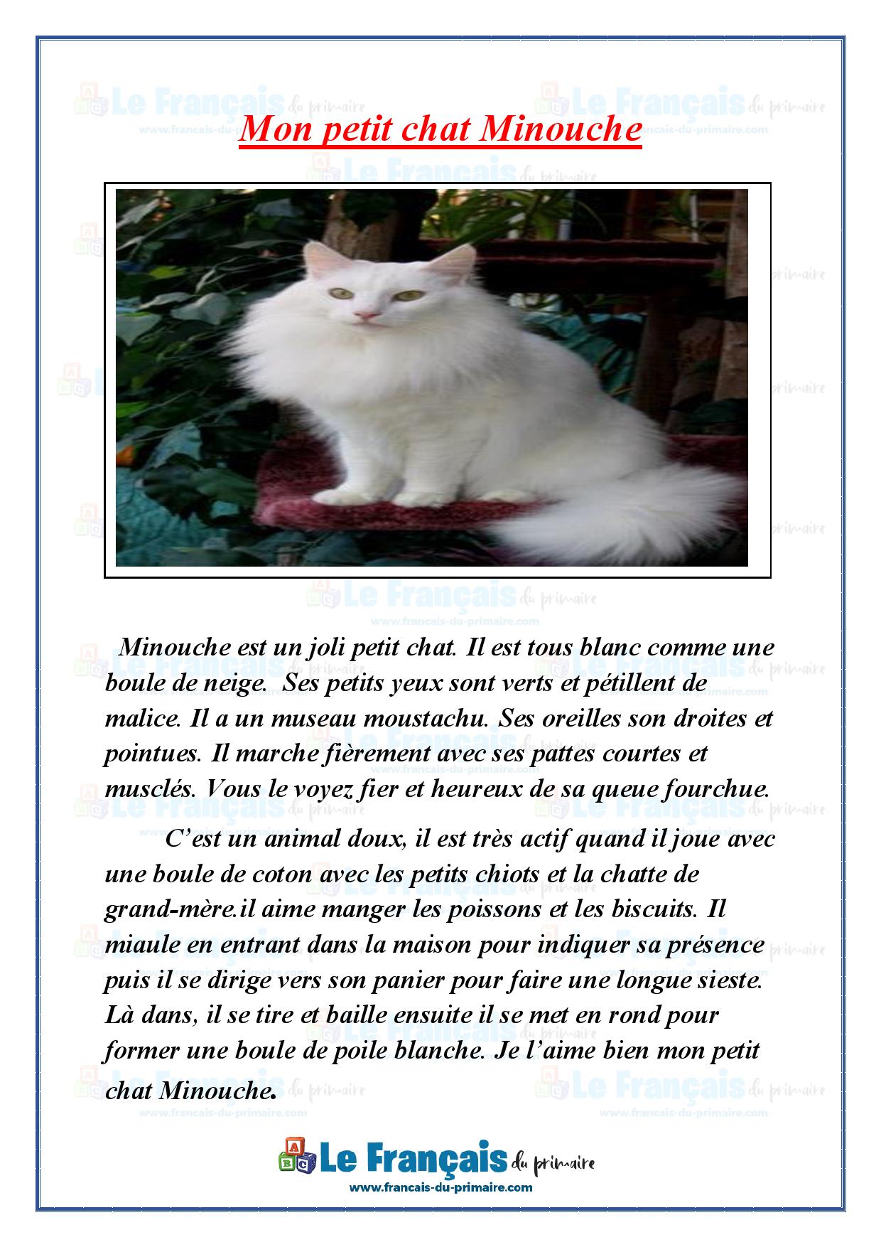 Le chat | Le français du primaire