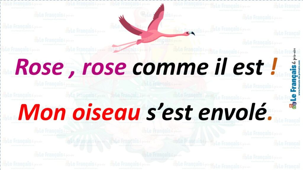Chant : Mon oiseau (3ème année) | Le français du primaire