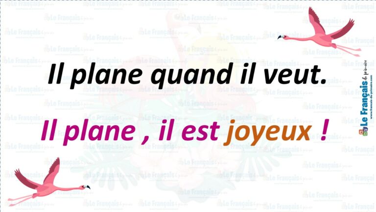 Chant : Mon oiseau (3ème année) | Le français du primaire