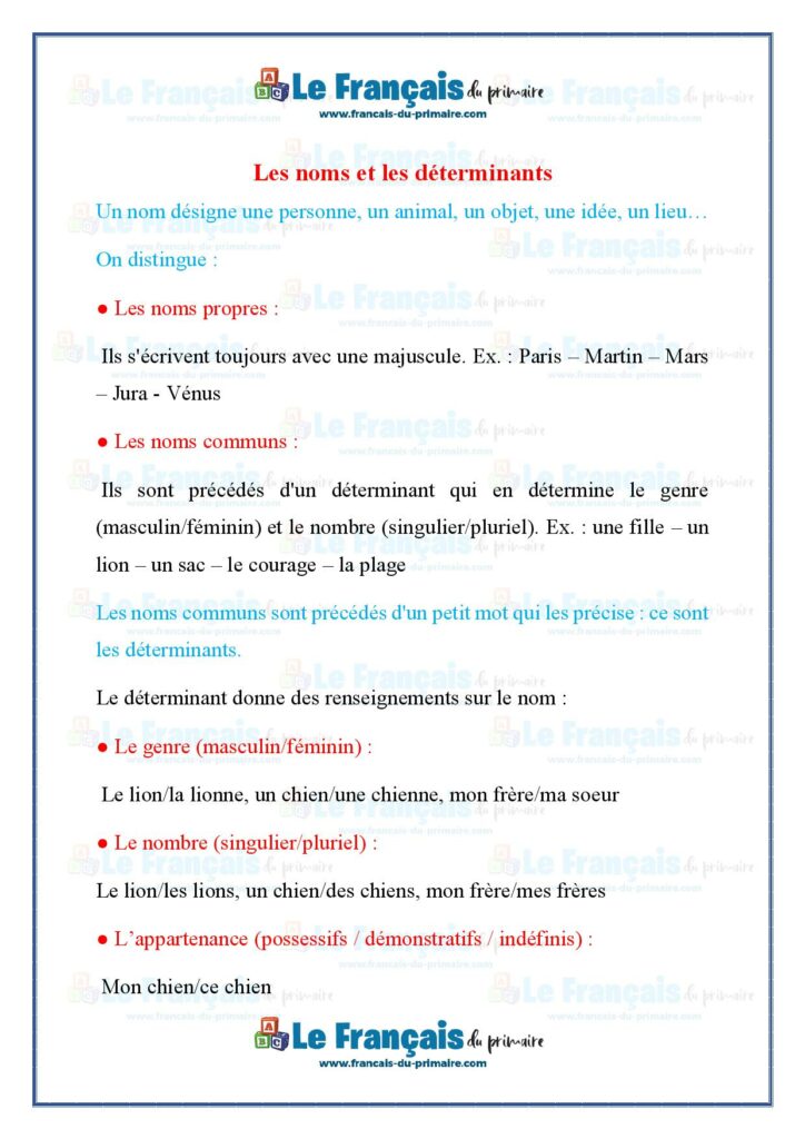 Les noms et les déterminants | Le français du primaire